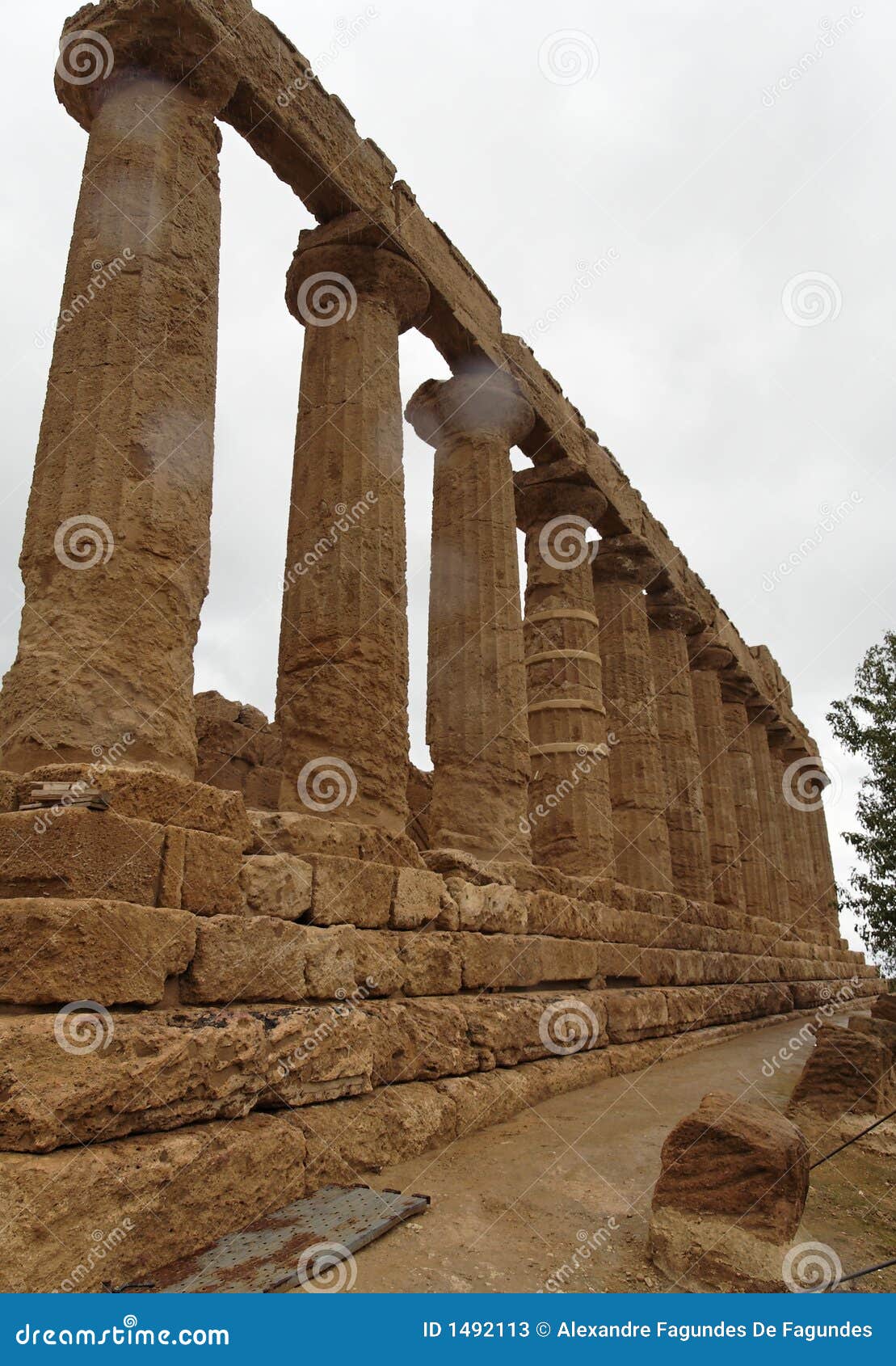 Doric Columns And Trees In DC Stock Photography | CartoonDealer.com ...
