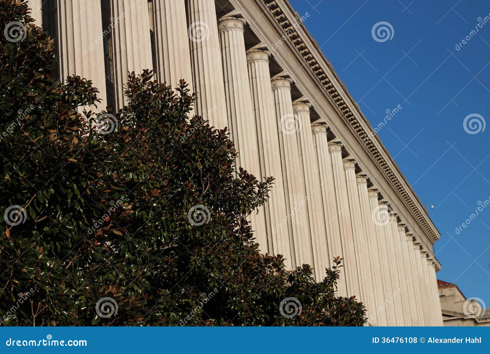 Doric Columns and Trees in DC Stock Photo - Image of columns, roman ...