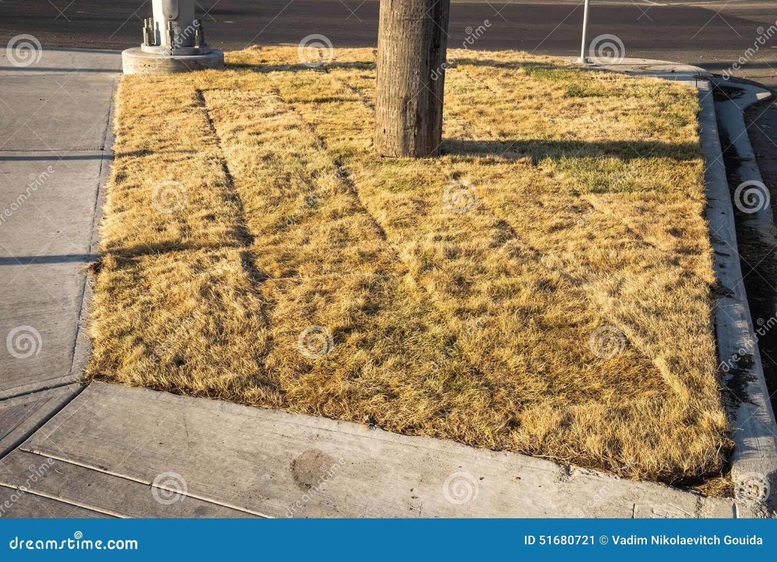Dormant brown Sod stock image. Image of brown, looks - 51680721