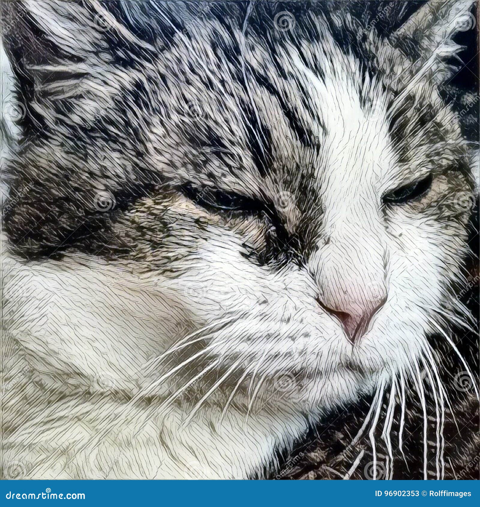 Dormant cat stock image. Image of colorful, indoors, beautiful - 96902353