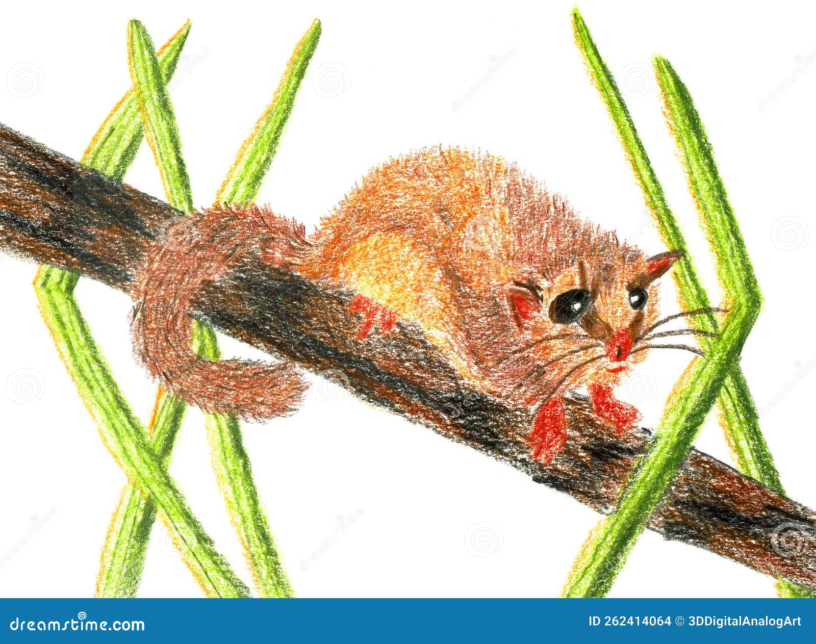 Dormouse On A Branch - Hand-Drawn Colored Pencil Drawing Vector ...