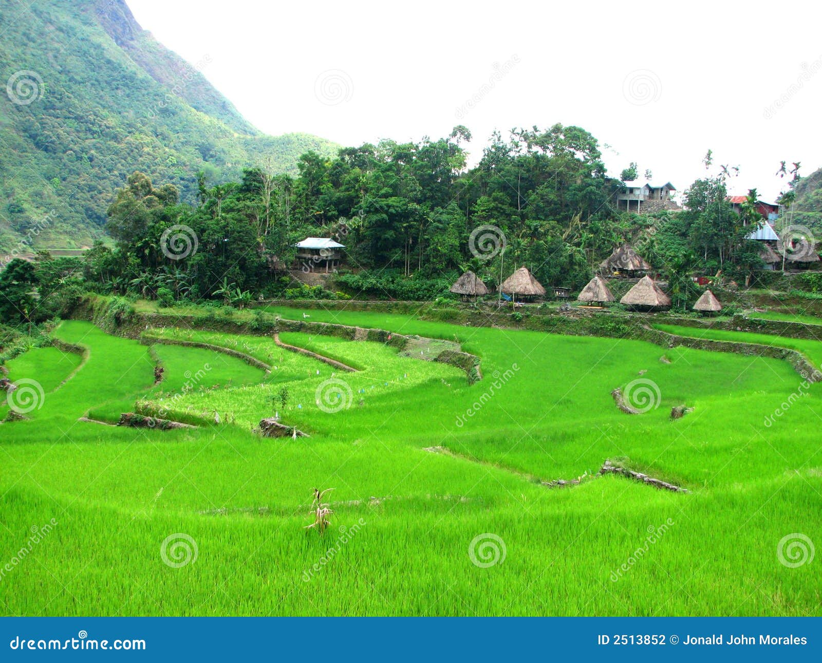 Dorp 2 Van De Terrassen Van De Rijst Van Batad Stock Foto - Image of ...