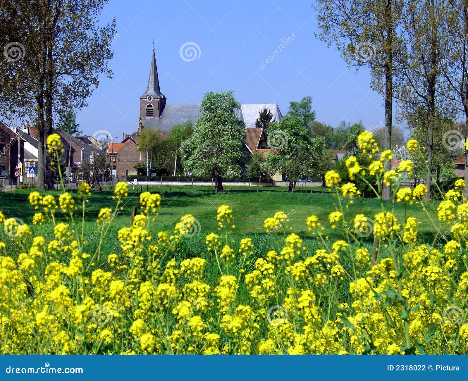 Dorp in Limburg, België stock foto. Image of geel, najaar - 2318022
