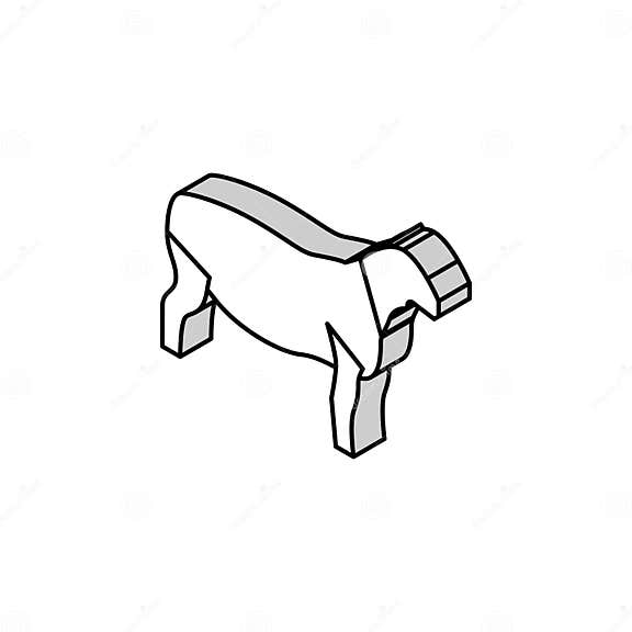 Dorper Sheep Isometric Icon Vector Illustration Stock Vector ... Dorper Sheep Isometric Icon Vector Illustration Stock Vector ...