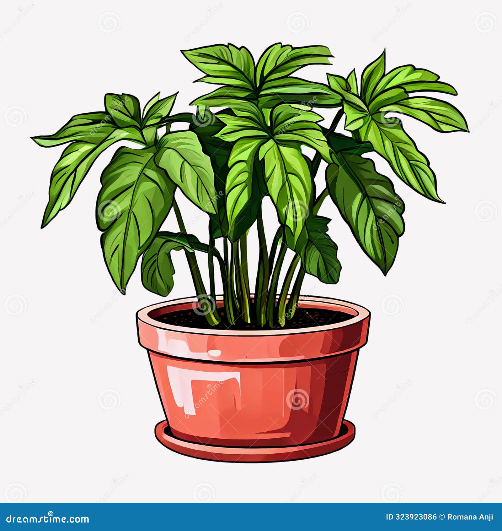 Dorstenia Plant In Pot Iconic Vector Drawing With Plan Background Plant ...