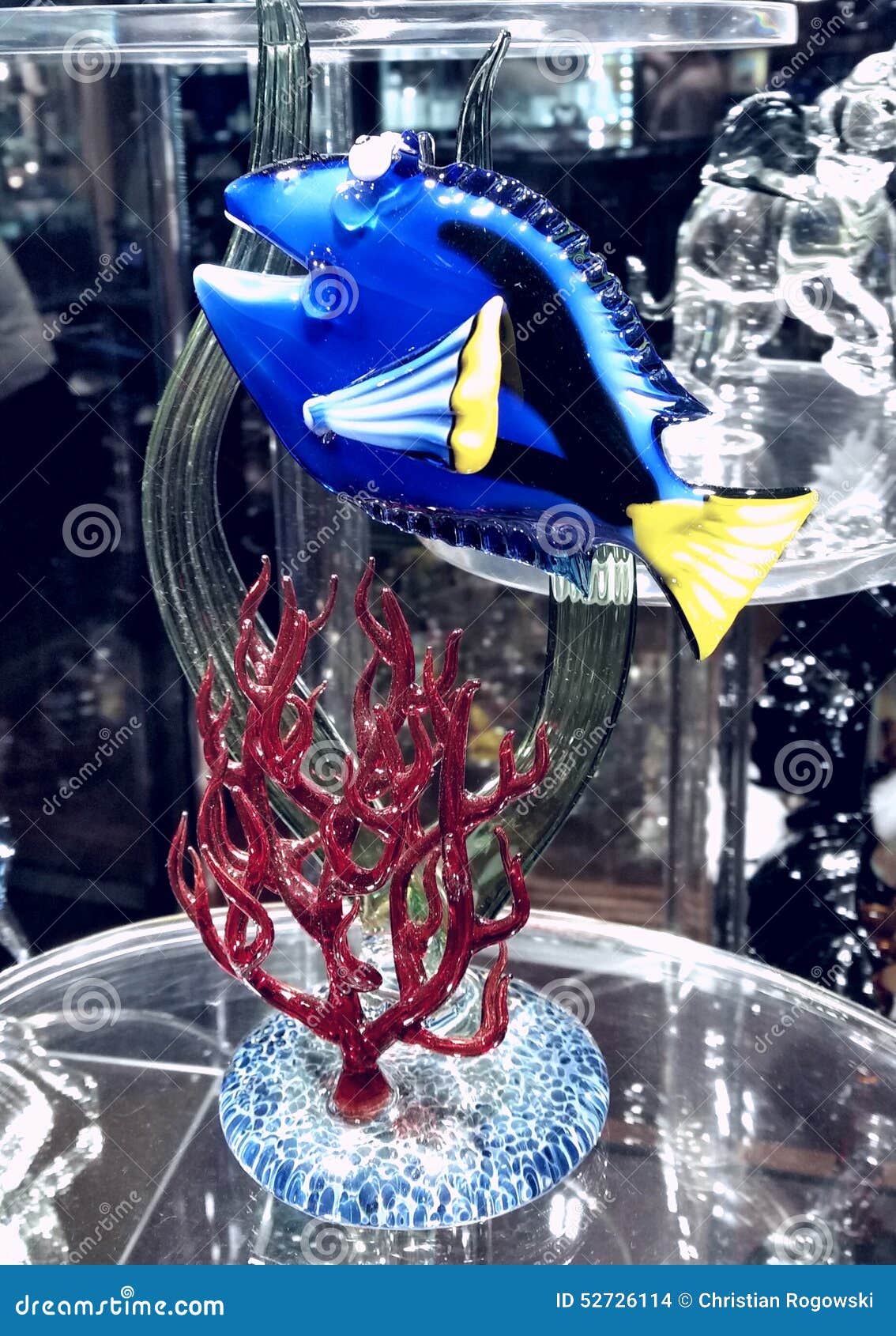 Dory finding Nemo stock photo. Image of yellow, finding - 52726114