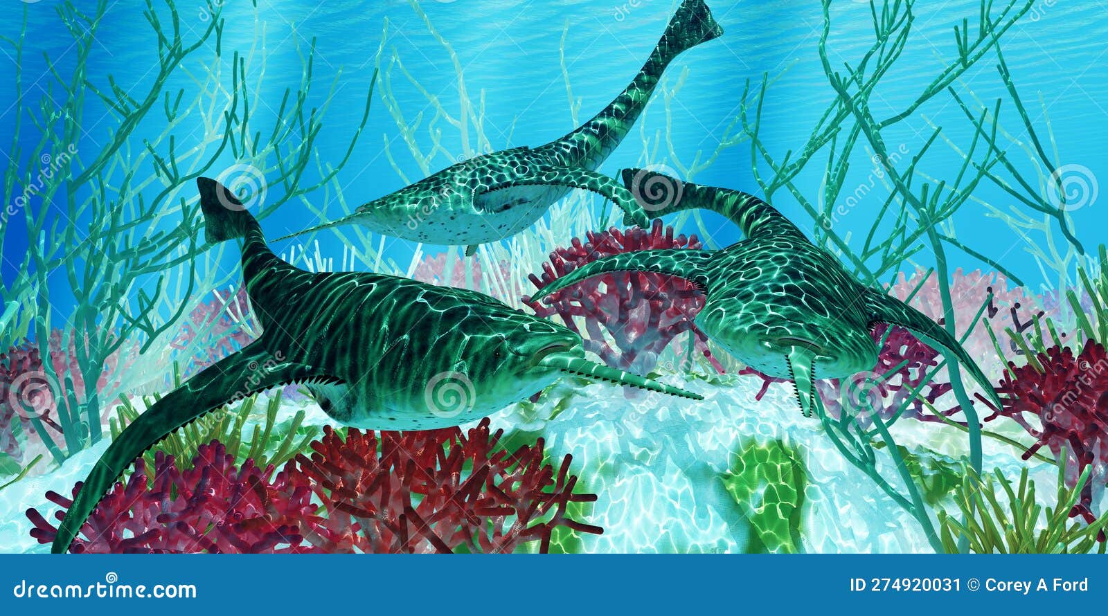 Doryaspis Fish Head Royalty-Free Stock Image | CartoonDealer.com #216737368