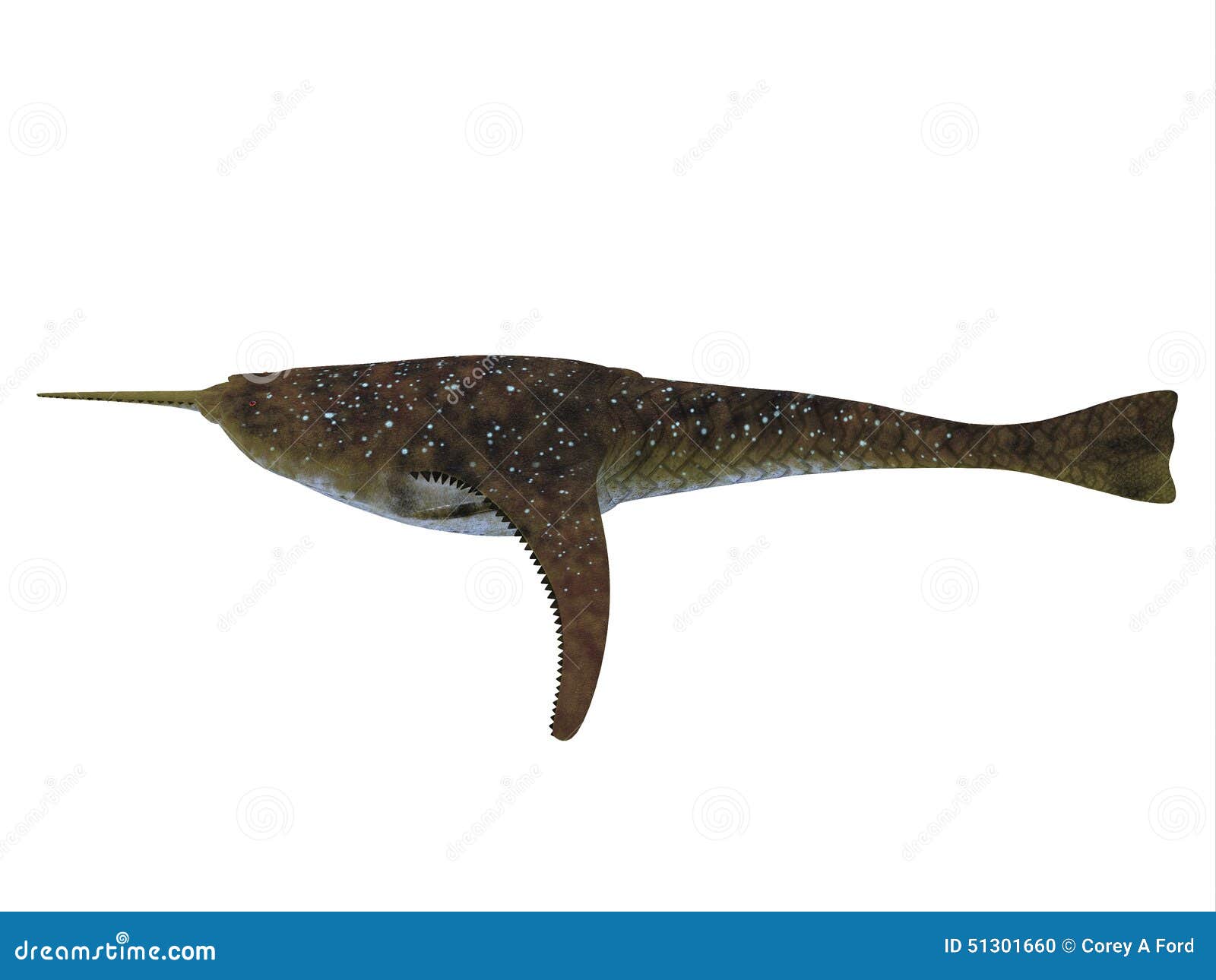 Doryaspis Fish over White stock photo. Image of doryaspis - 51301660