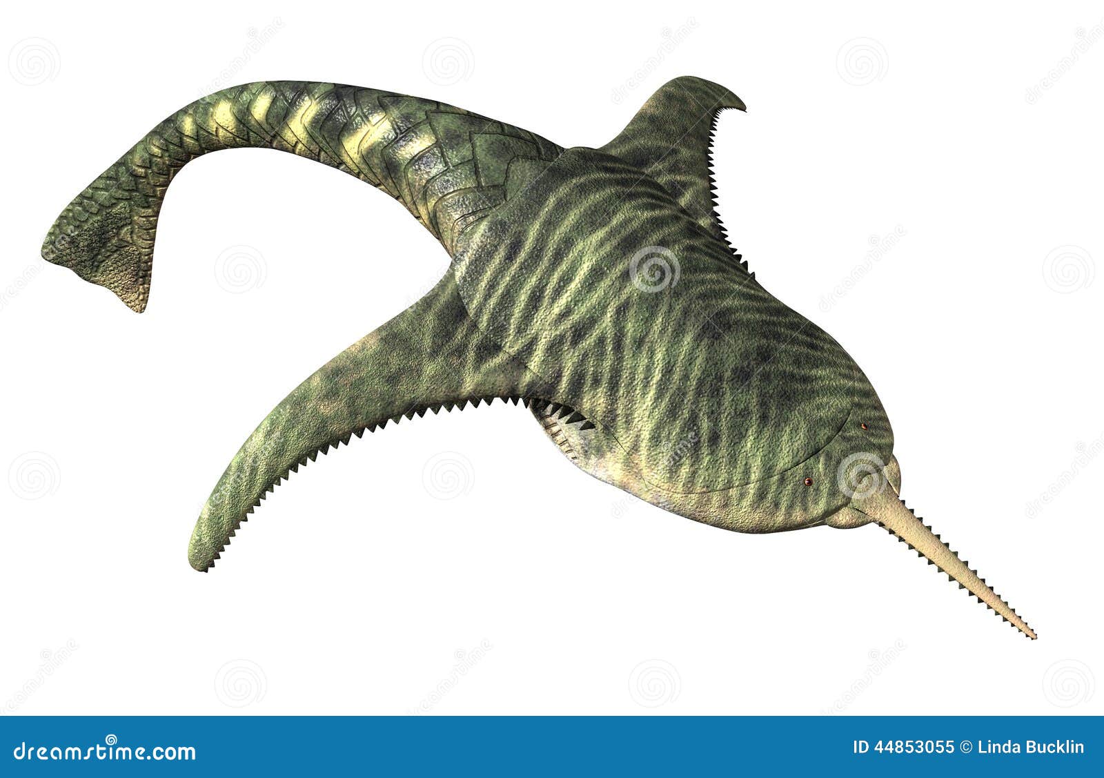 Doryaspis - Voorhistorische Vissen Stock Illustratie - Illustration of ...