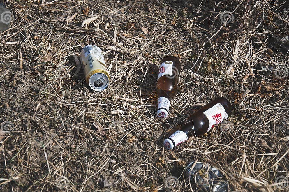 Dos Botellas Y Poder De Cerveza Discharded En Hierba Foto editorial ...