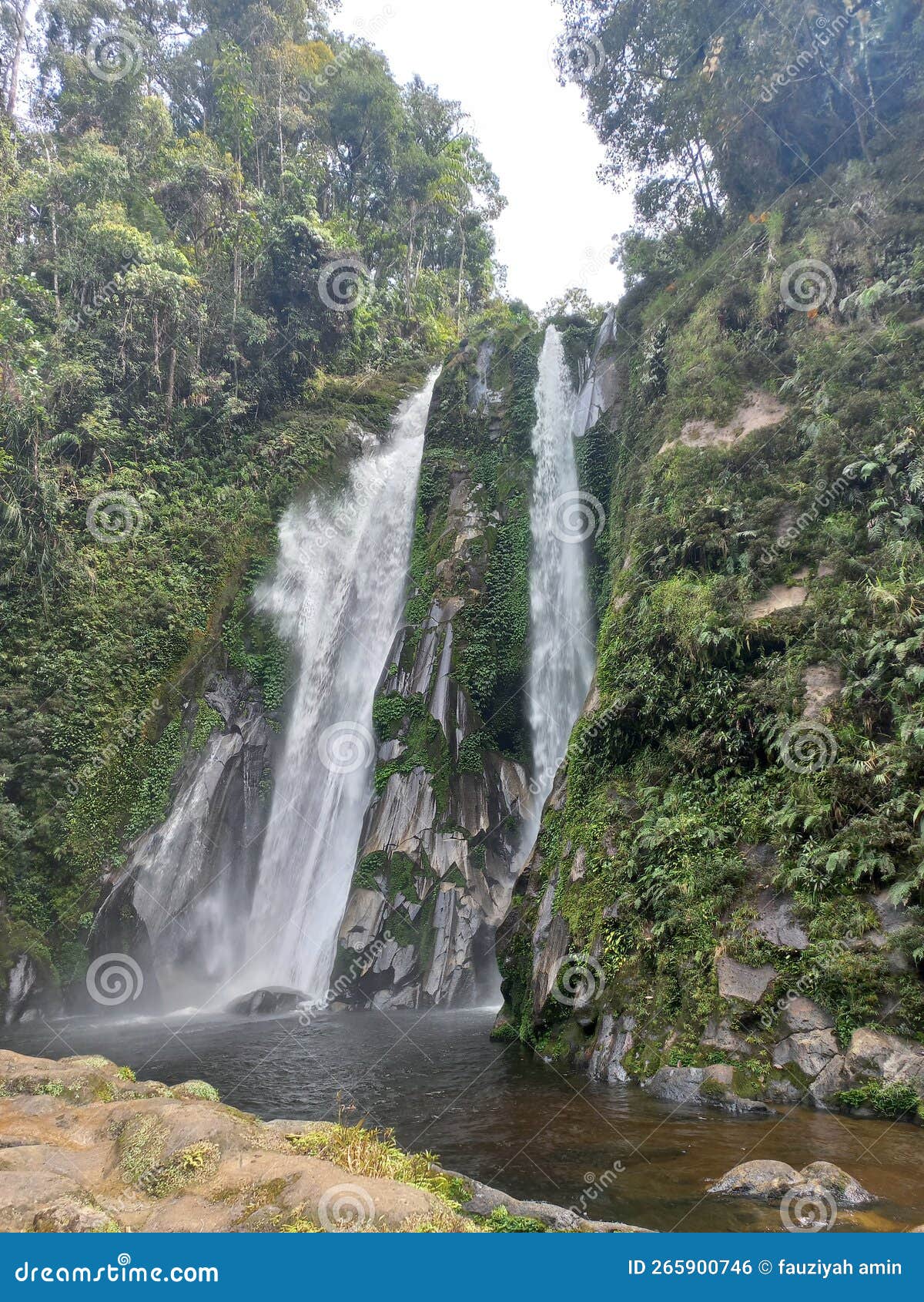 Dos cascadas en un lugar foto de archivo. Imagen de bosque - 265900746