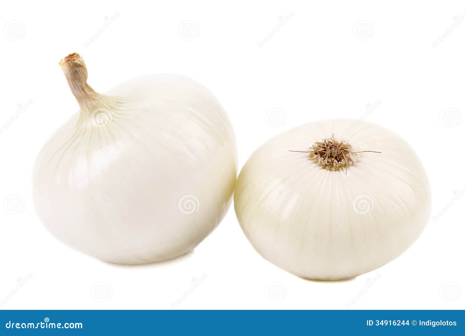 Dos cebollas blancas. foto de archivo. Imagen de travieso - 34916244