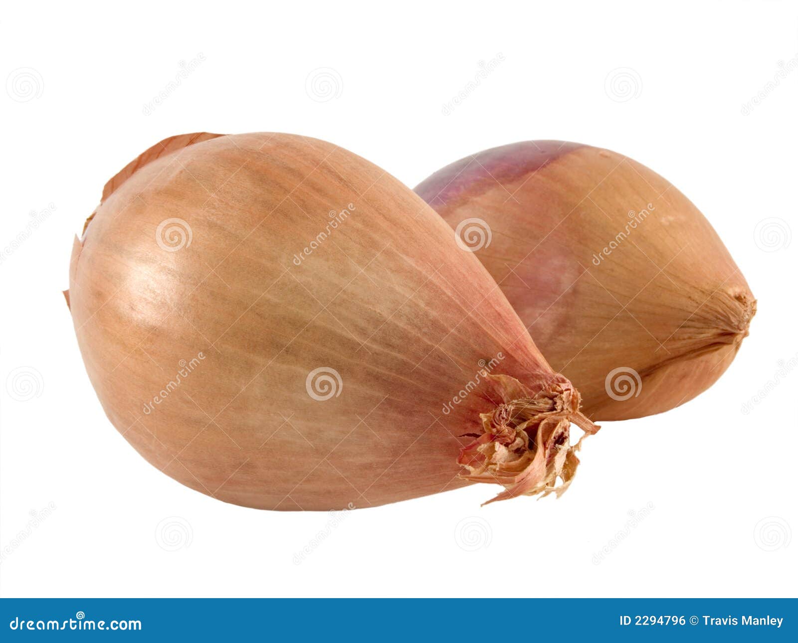 Dos chalotes foto de archivo. Imagen de alimento, chalote - 2294796