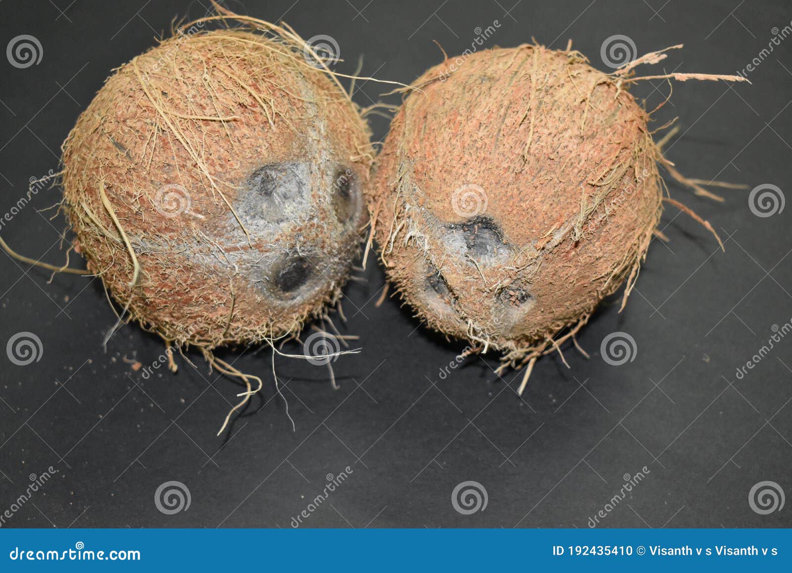 Dos cocos pelados foto de archivo. Imagen de plato, pelado - 192435410