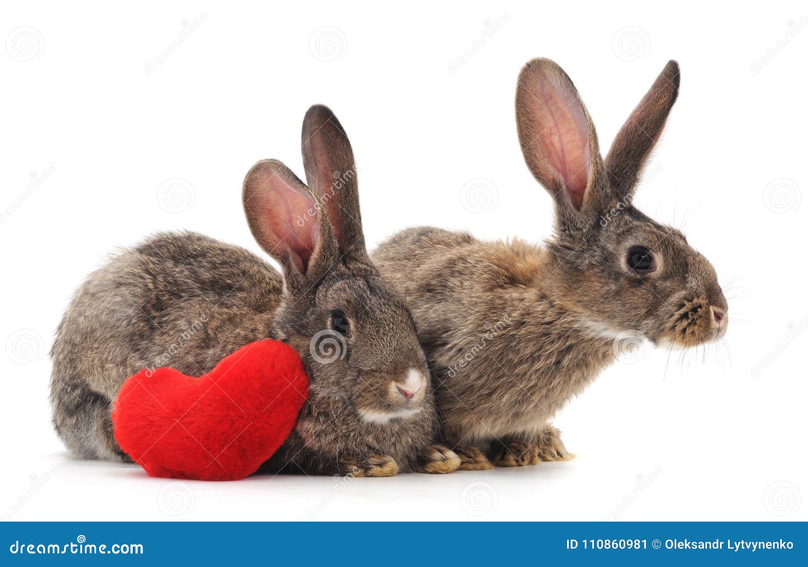 Dos conejos con el corazón imagen de archivo. Imagen de color - 110860981