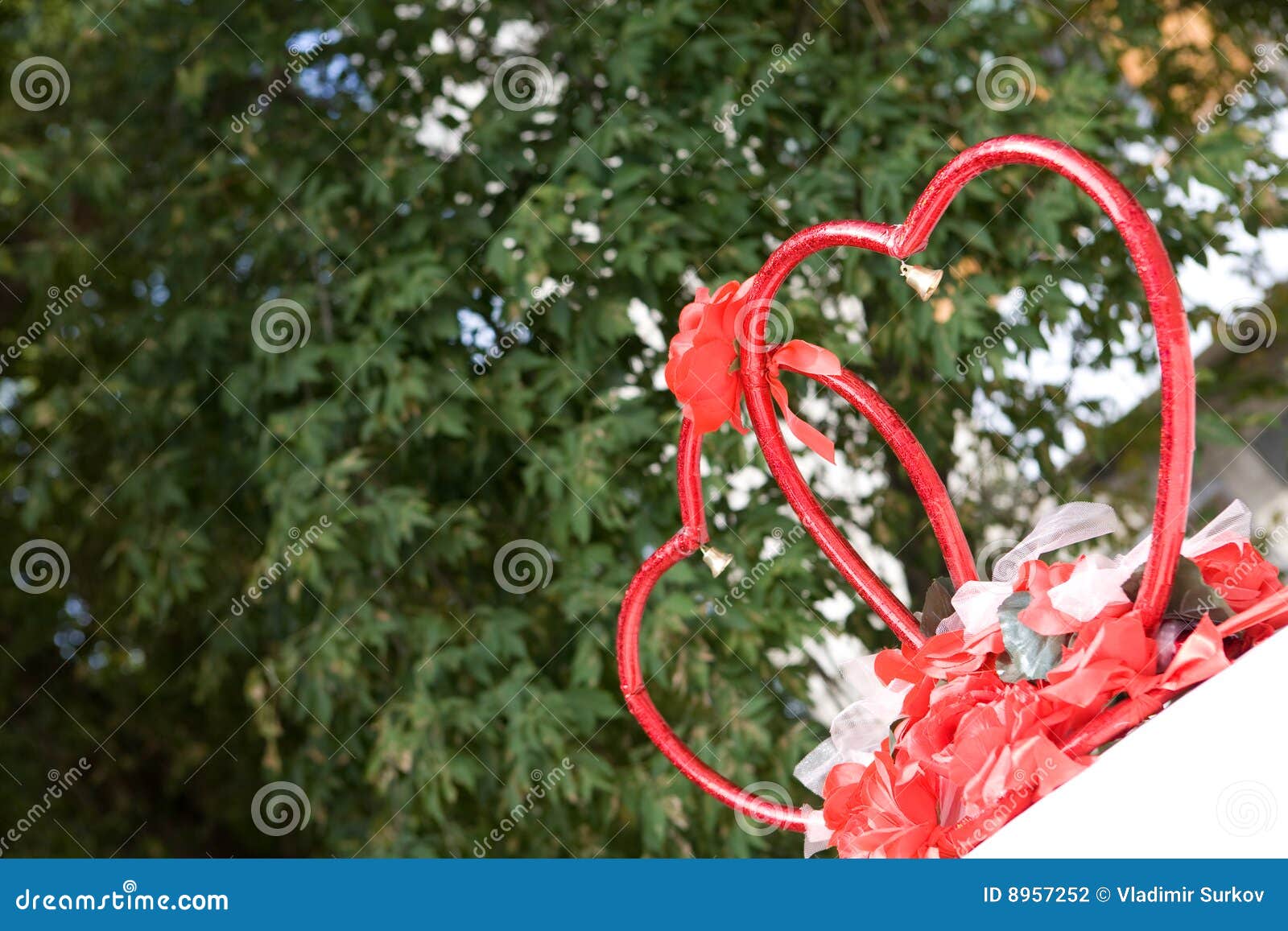Dos corazones foto de archivo. Imagen de gente, romance - 8957252