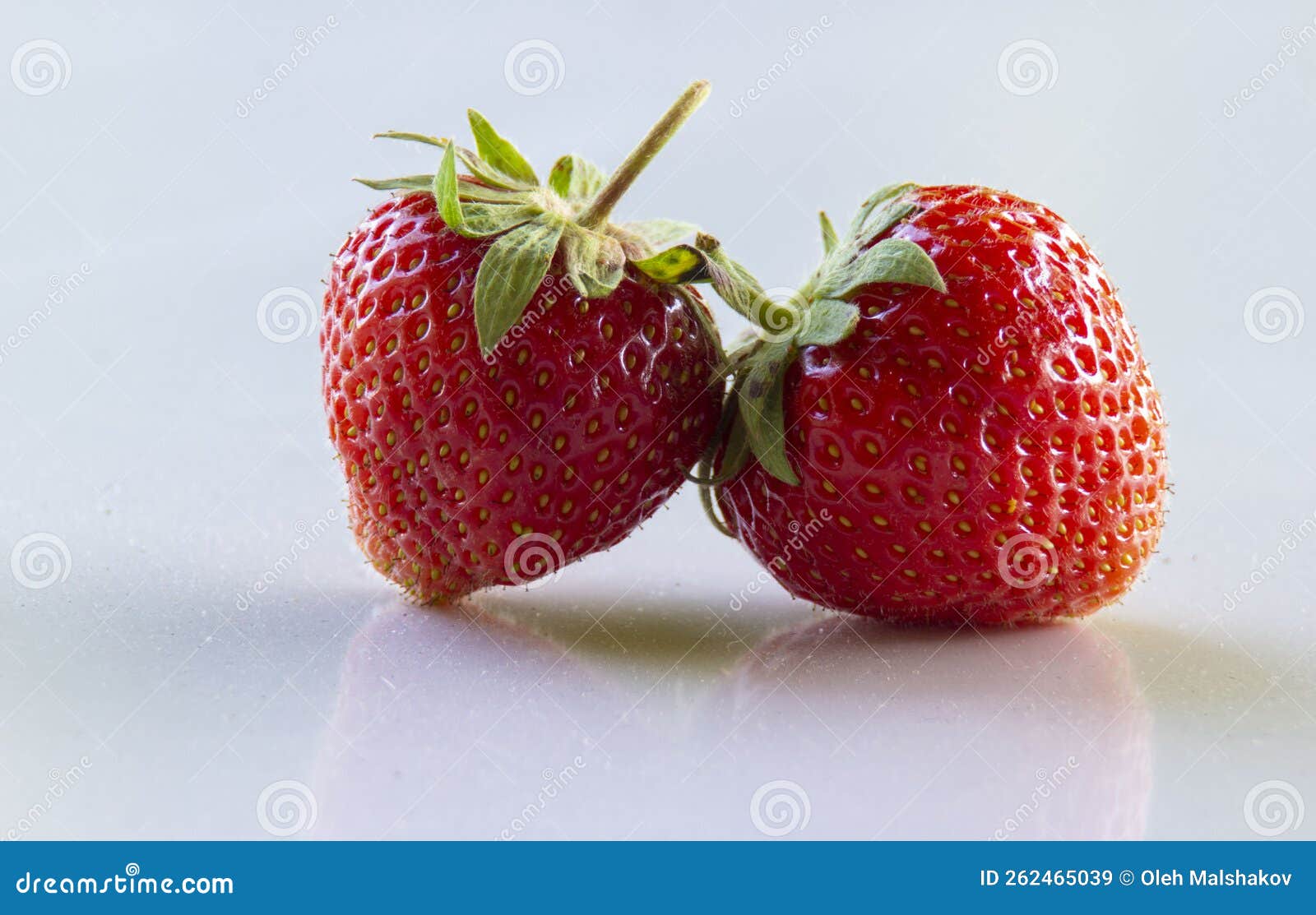 Dos Fresas Rojas Sobre Fondo Blanco Imagen de archivo - Imagen de crudo ... Dos Fresas Rojas Sobre Fondo Blanco Imagen de archivo - Imagen de crudo ...