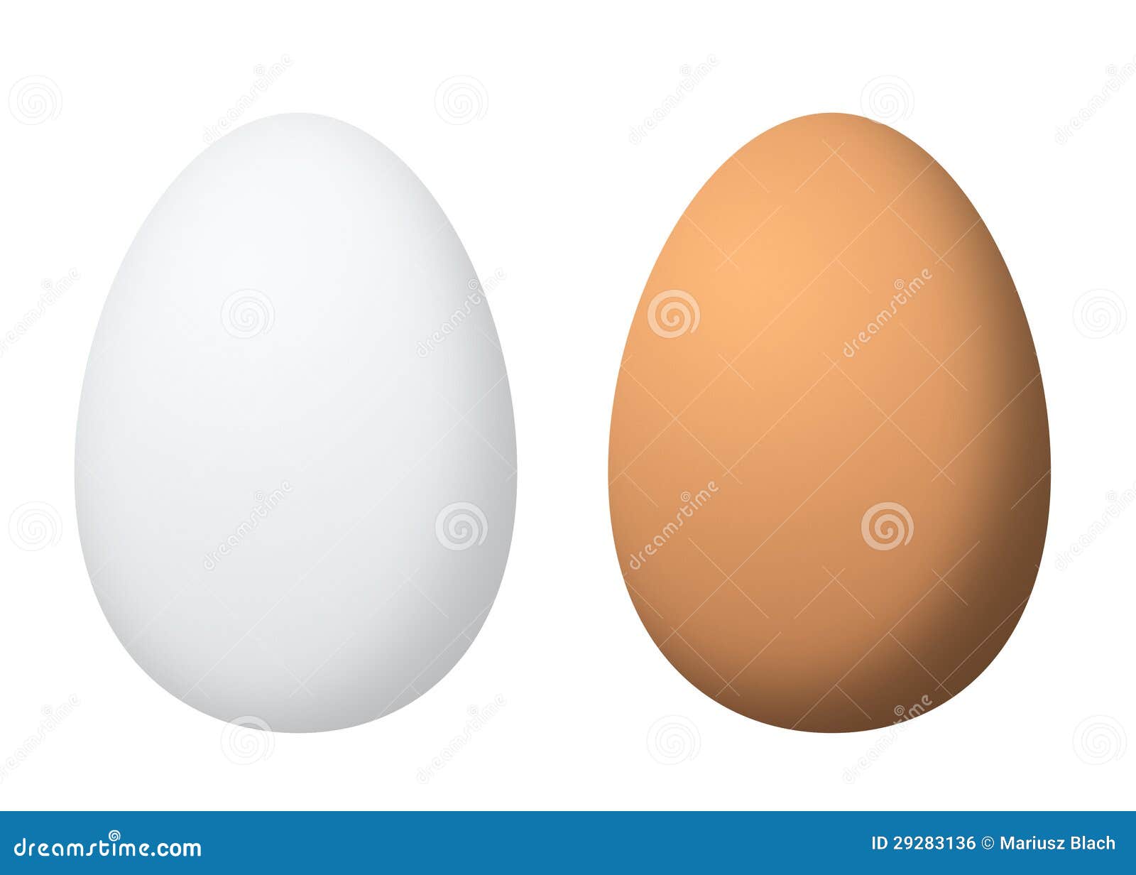 Dos huevos stock de ilustración. Ilustración de fresco - 29283136