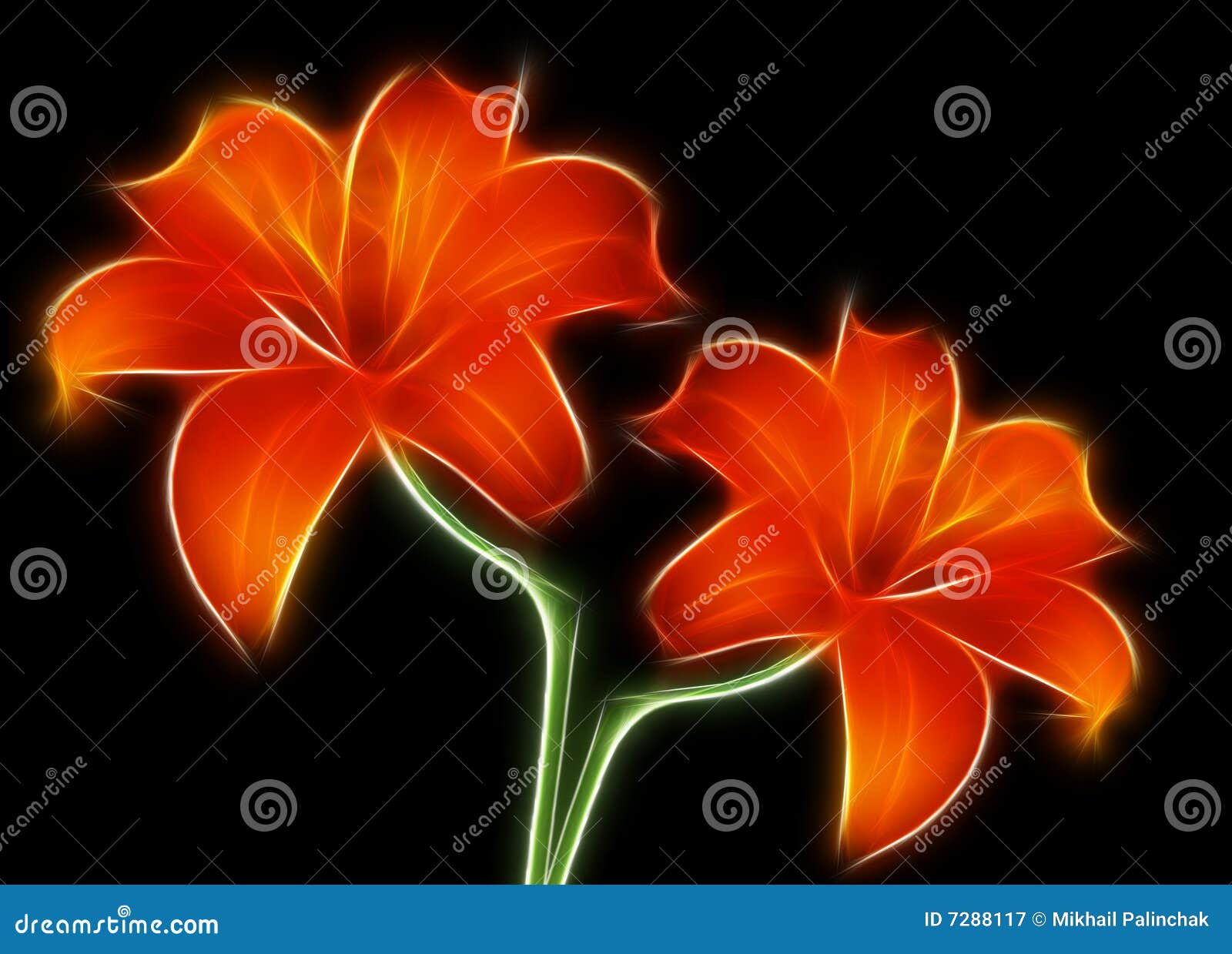 Dos lirios rojos stock de ilustración. Ilustración de familia - 7288117