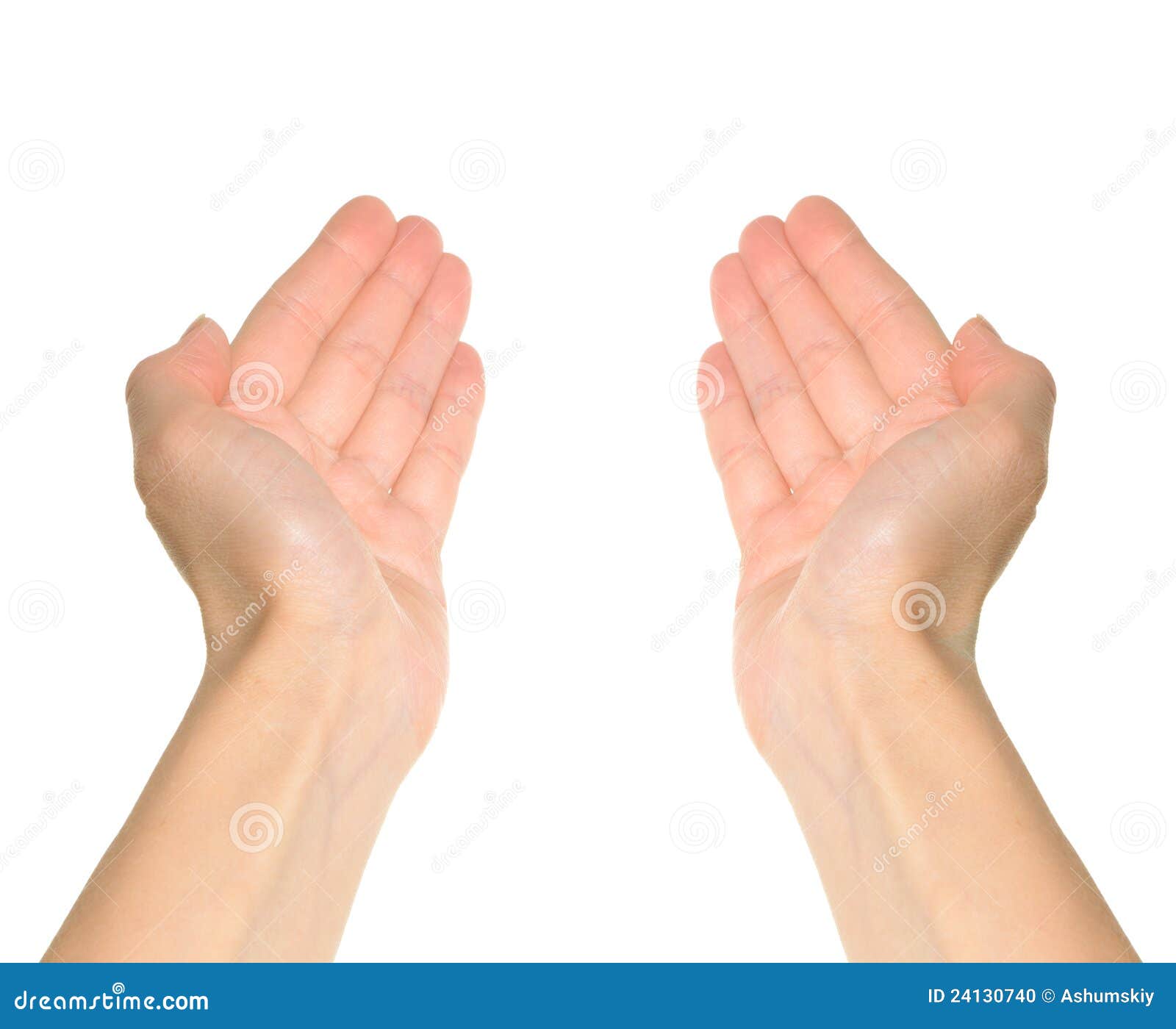 Dos manos foto de archivo. Imagen de manos, blanco, ruegue - 24130740