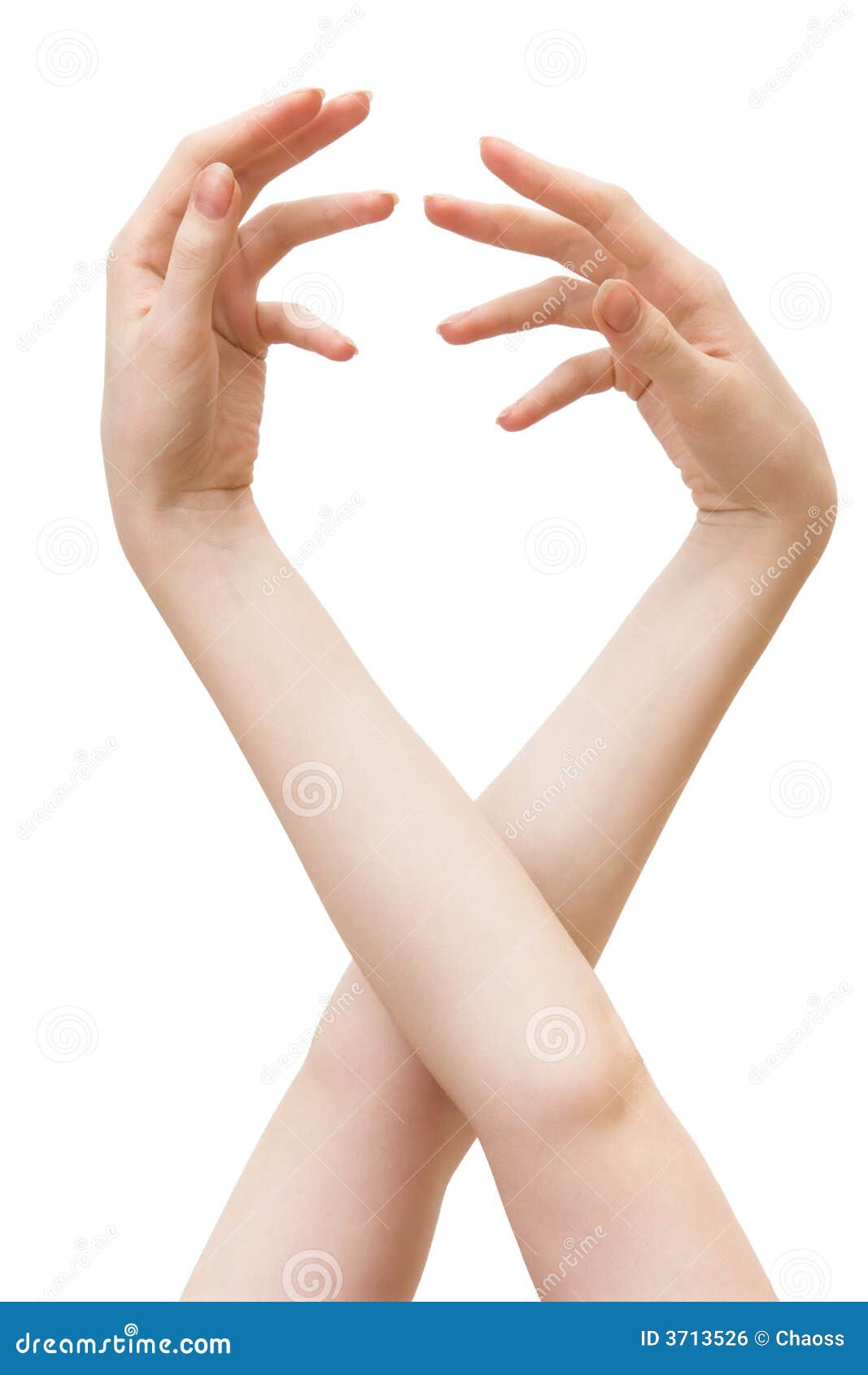 Dos Manos De La Mujer Elegante Foto de archivo - Imagen de dirigido ...