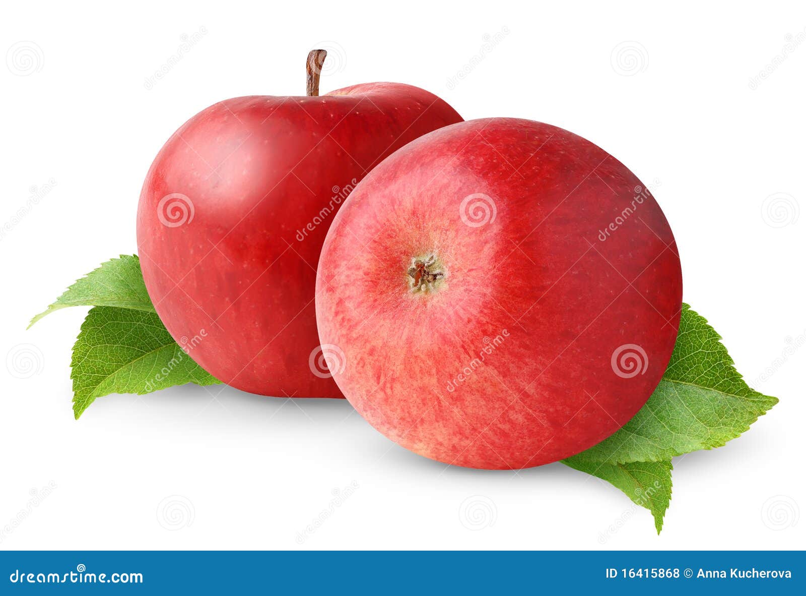 Dos manzanas foto de archivo. Imagen de hoja, corte, entero - 16415868