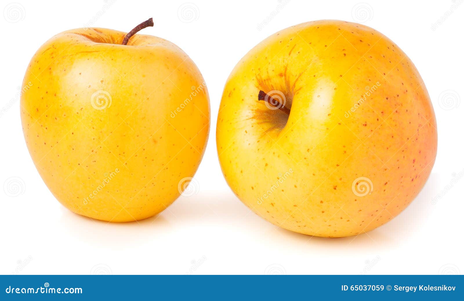 Dos Manzanas Amarillas Aisladas En Blanco Imagen de archivo - Imagen de ...