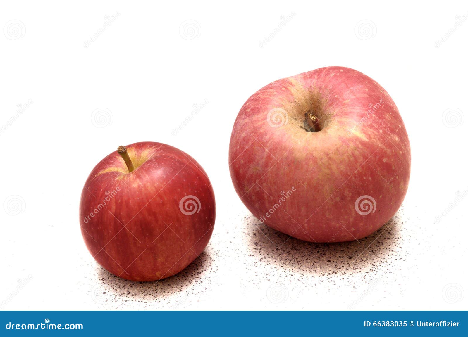 Dos Manzanas De Diversos Tamaños Imagen de archivo - Imagen de gérmenes ...