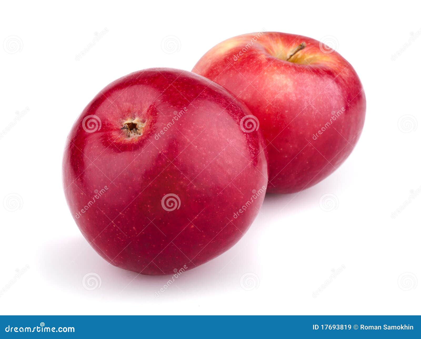 Dos manzanas rojas imagen de archivo. Imagen de jugo - 17693819