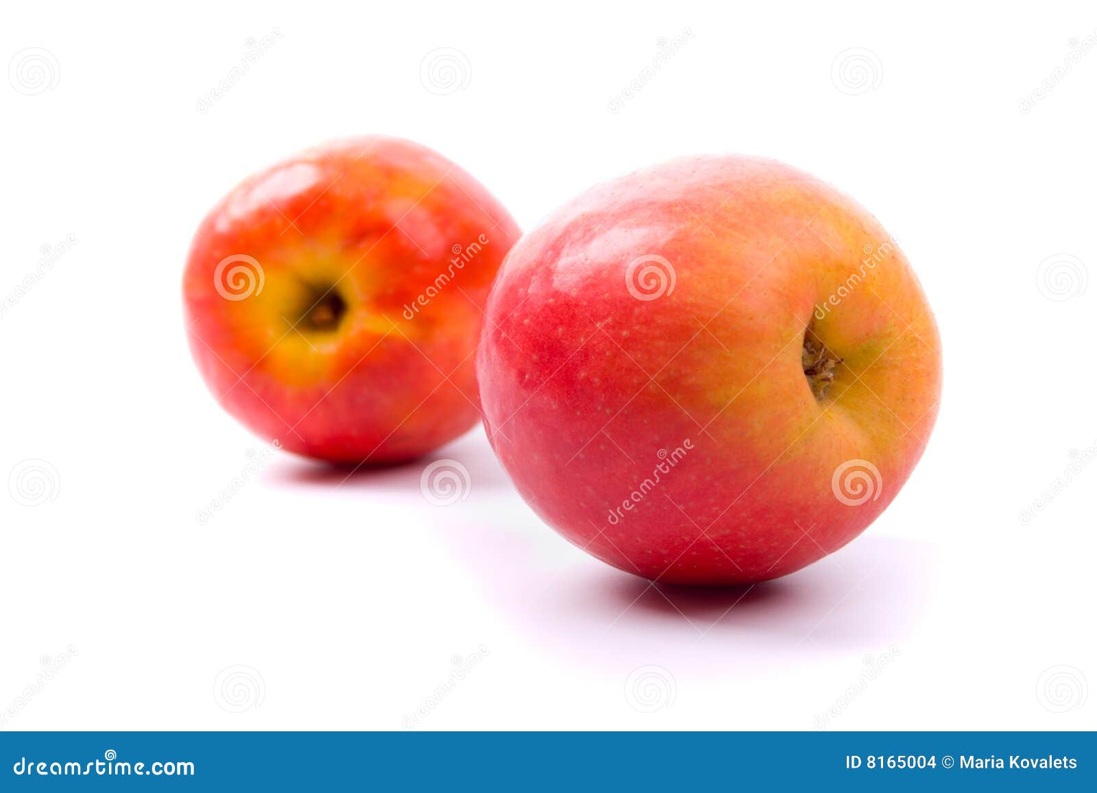 Dos manzanas rojas foto de archivo. Imagen de travieso - 8165004