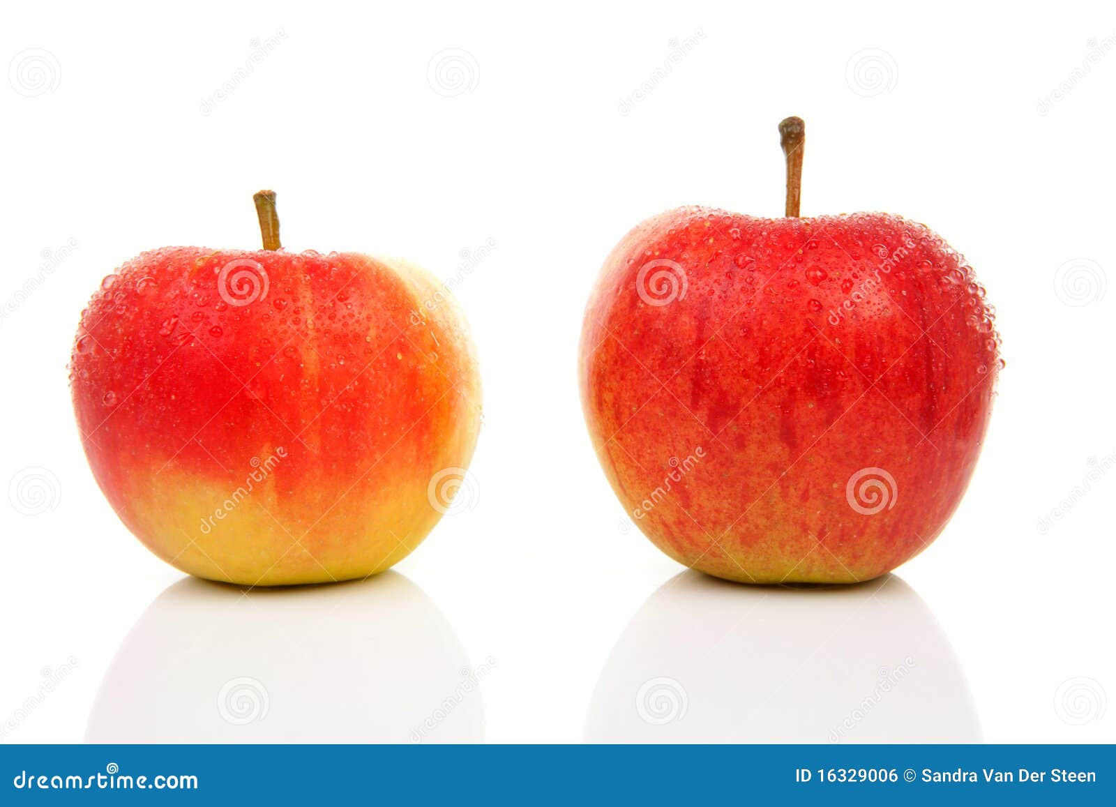 Dos manzanas rojas jugosas foto de archivo. Imagen de alimento - 16329006