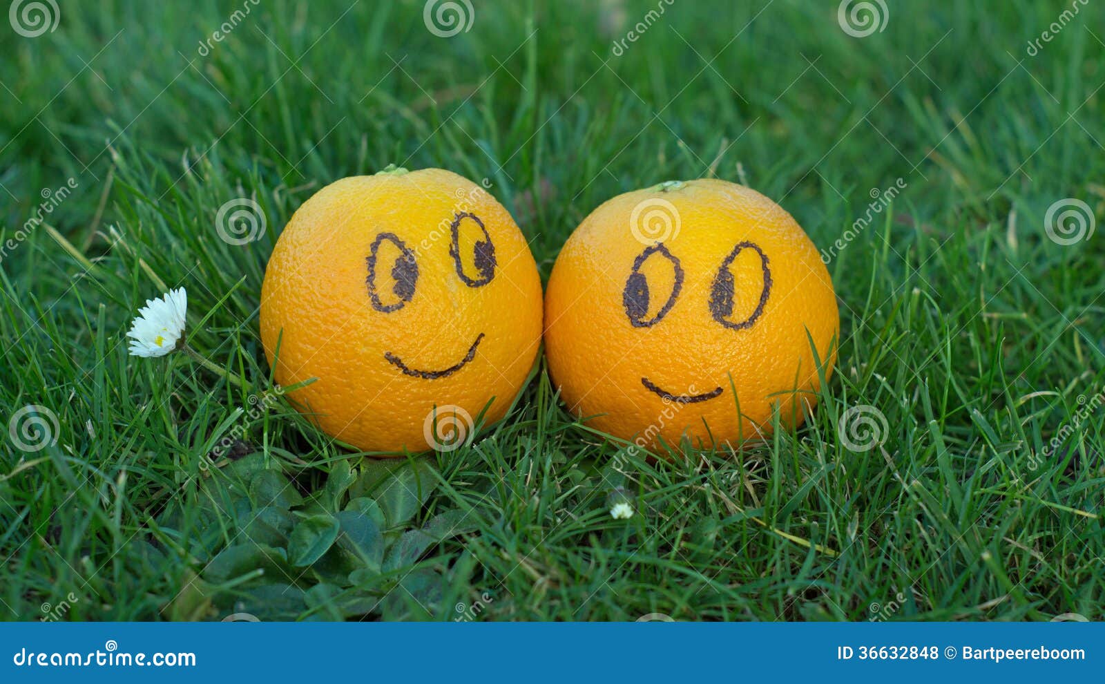 Dos naranjas enamoradas foto de archivo. Imagen de fresco - 36632848