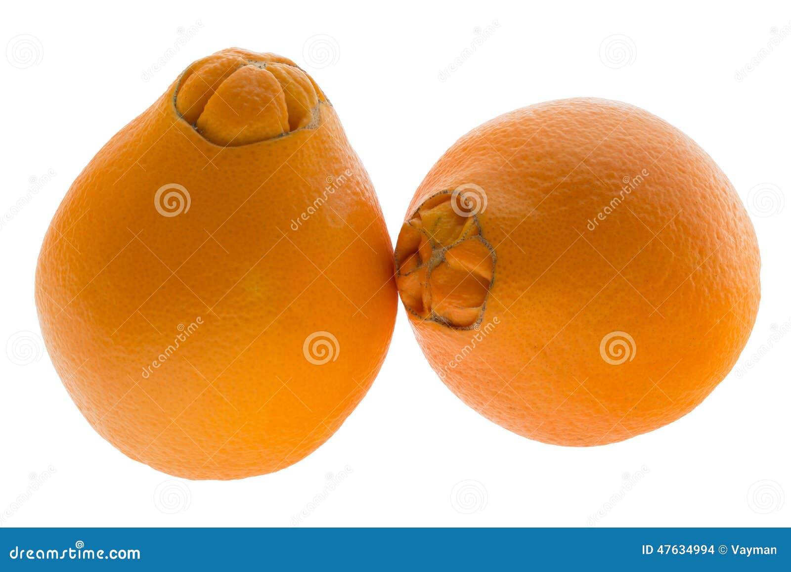 Dos naranjas navel foto de archivo. Imagen de neap, jugoso - 47634994