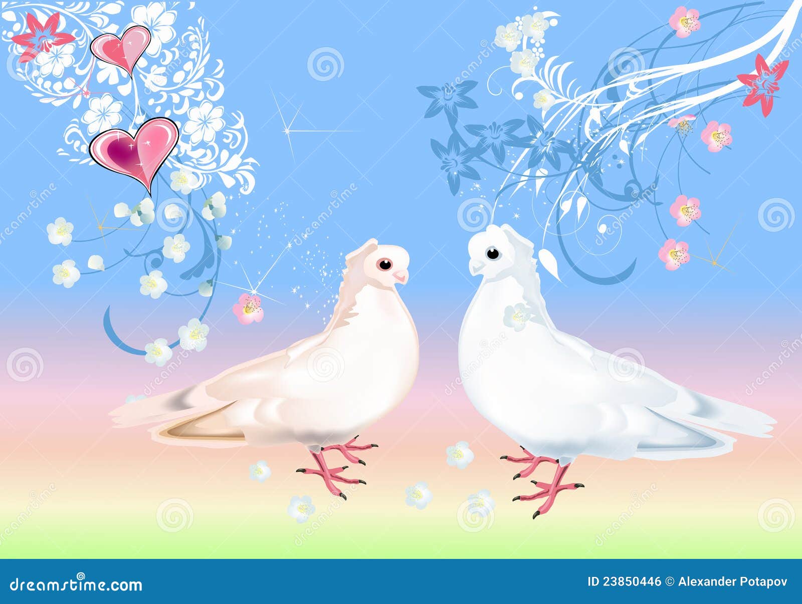 Dos Palomas Blancas En Fondo Ligero Imagen de archivo libre de regalías ...