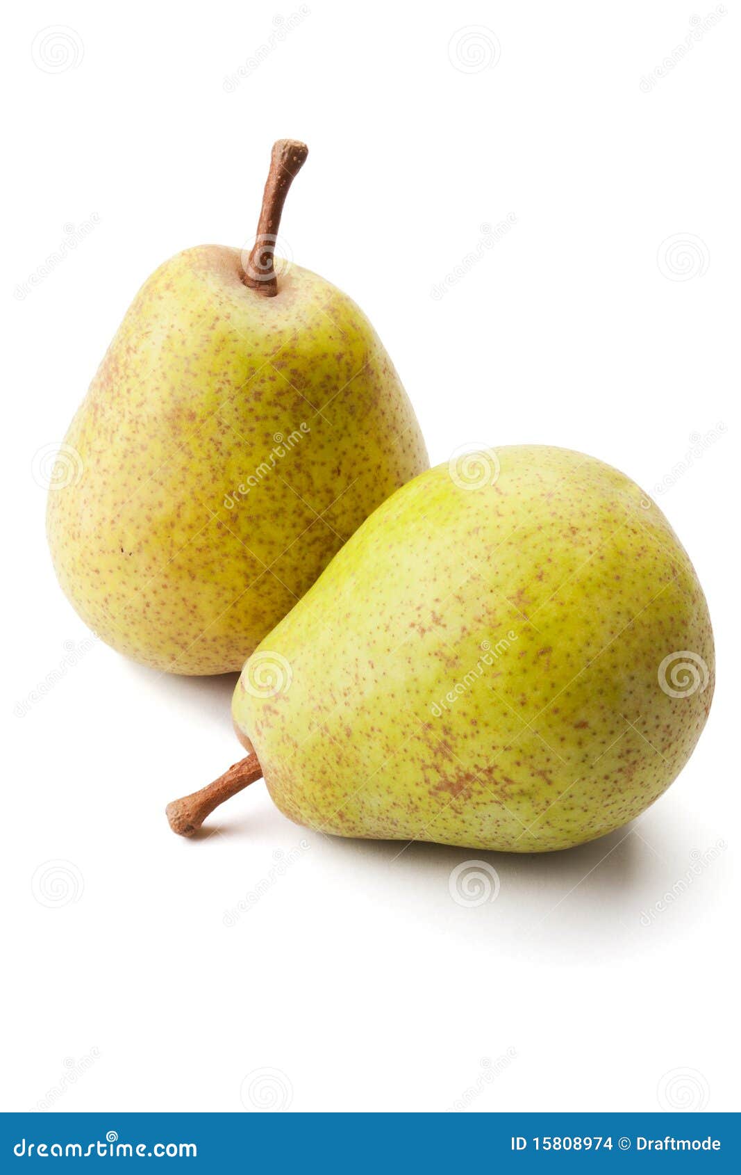 Dos peras foto de archivo. Imagen de brillante, color - 15808974