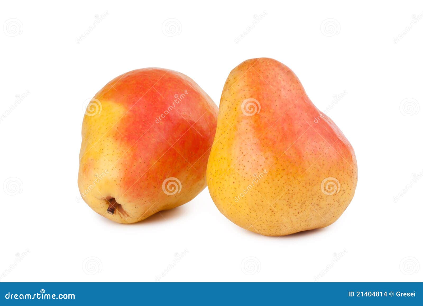 Dos peras aisladas foto de archivo. Imagen de blanco - 21404814