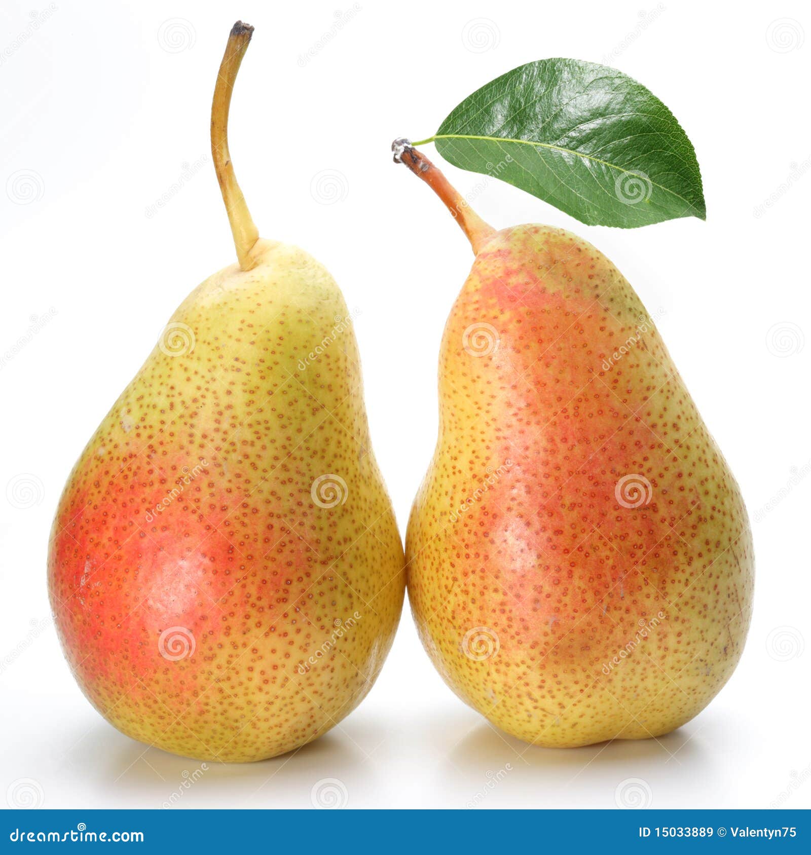 Dos Peras Apetitosas Con Una Hoja. Imagen de archivo - Imagen de verde ...