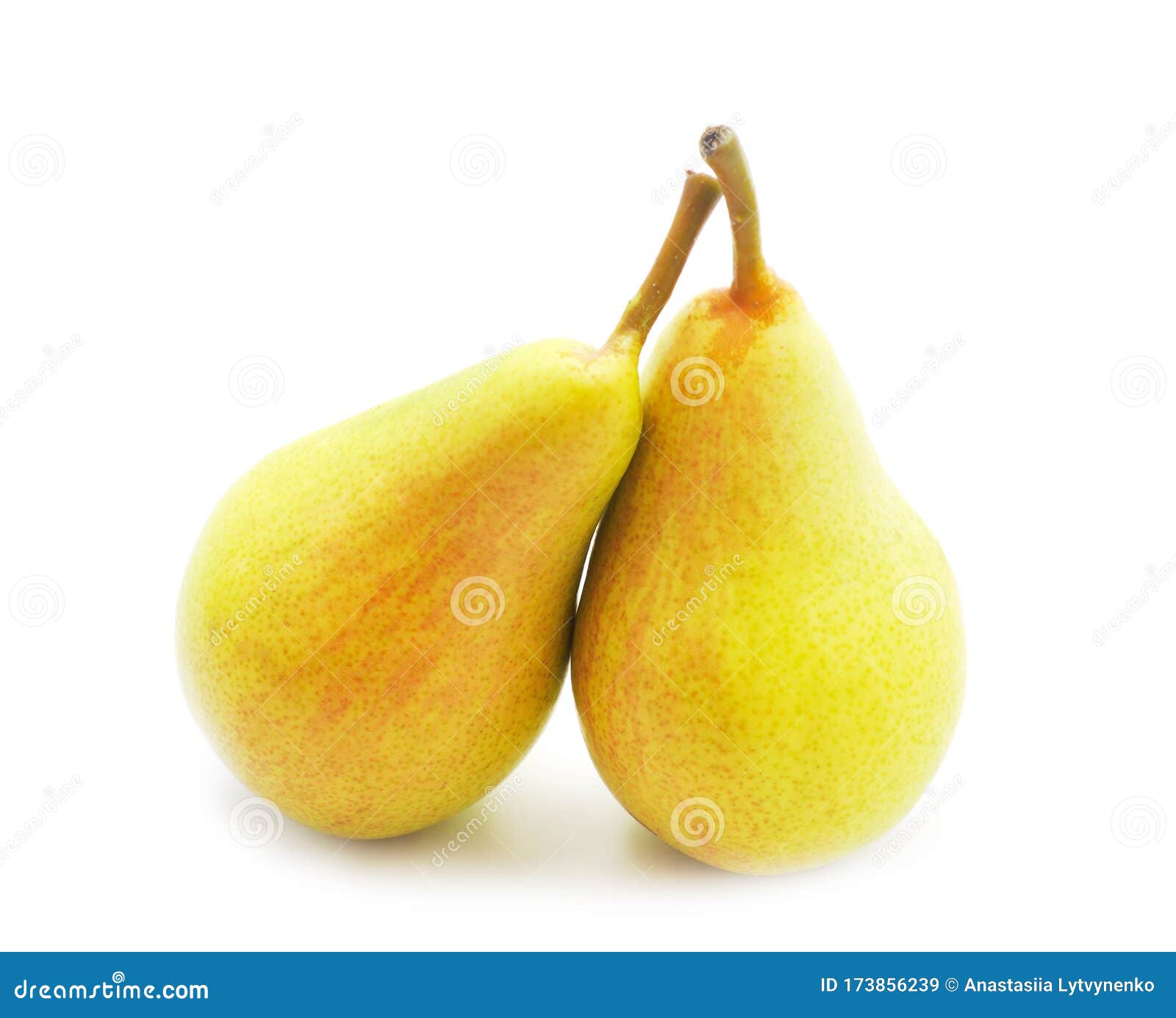 Dos peras con hoja imagen de archivo. Imagen de puro - 173856239