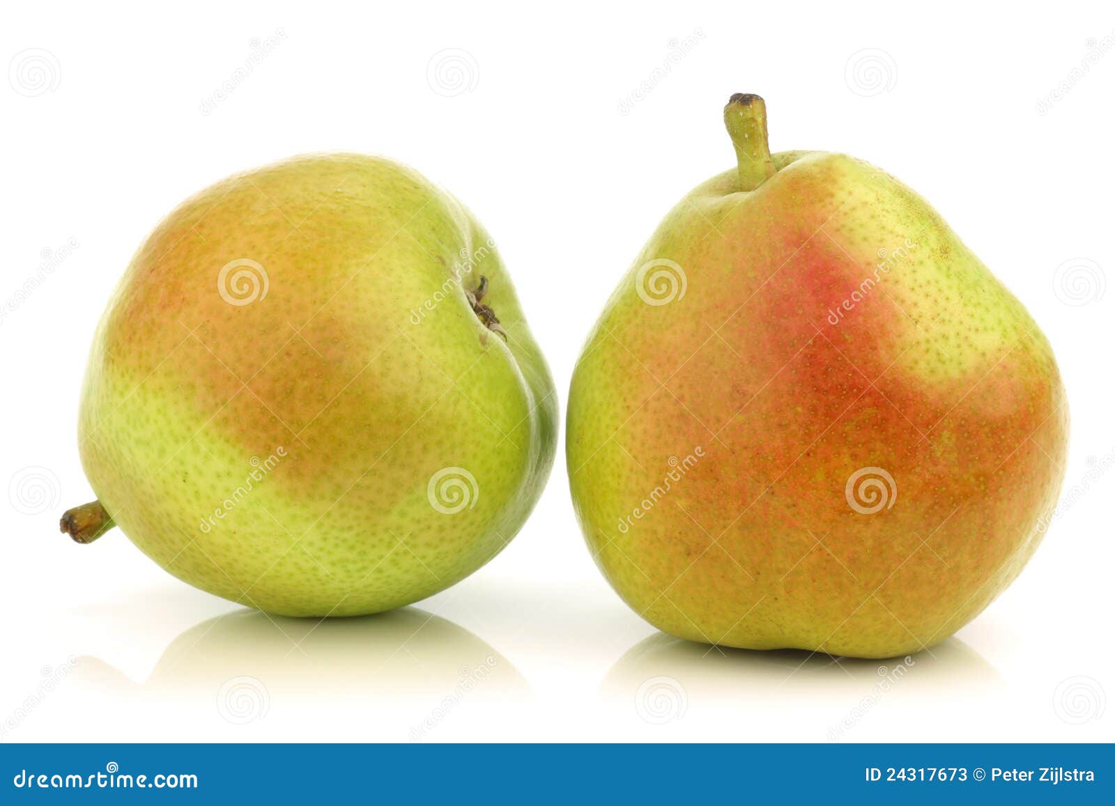 Dos peras de Anjou imagen de archivo. Imagen de manchado - 24317673