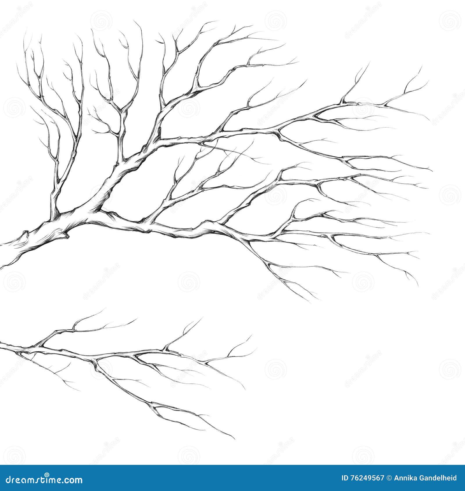 Dos ramas sin las hojas stock de ilustración. Ilustración de cubo ...