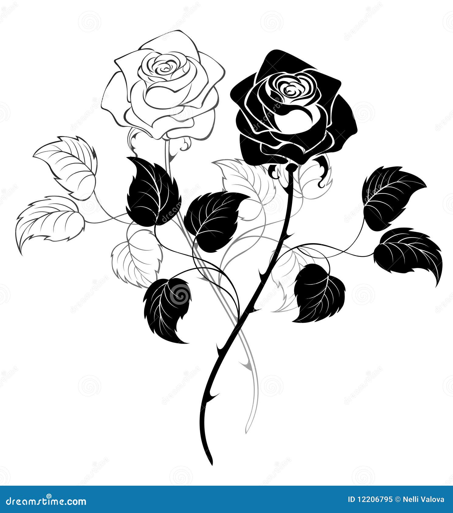 Dos rosas ilustración del vector. Ilustración de bosquejo - 12206795