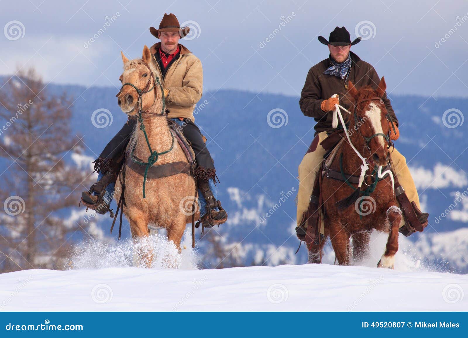 Dos Vaqueros Que Montan En Nieve Profunda Fotografía editorial - Imagen ...
