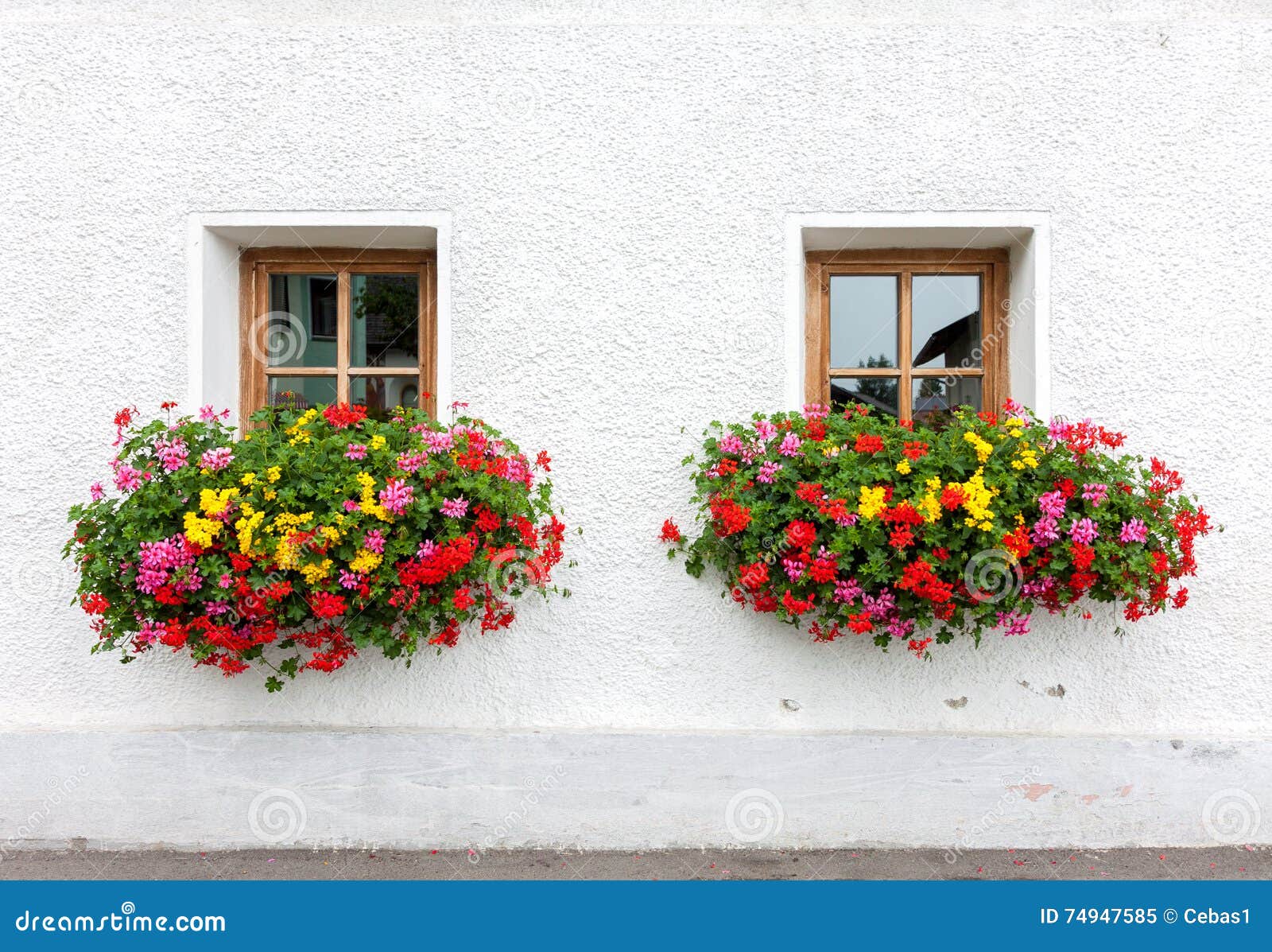 Dos Ventanas Con Las Flores Imagen de archivo - Imagen de flora, rojo ...