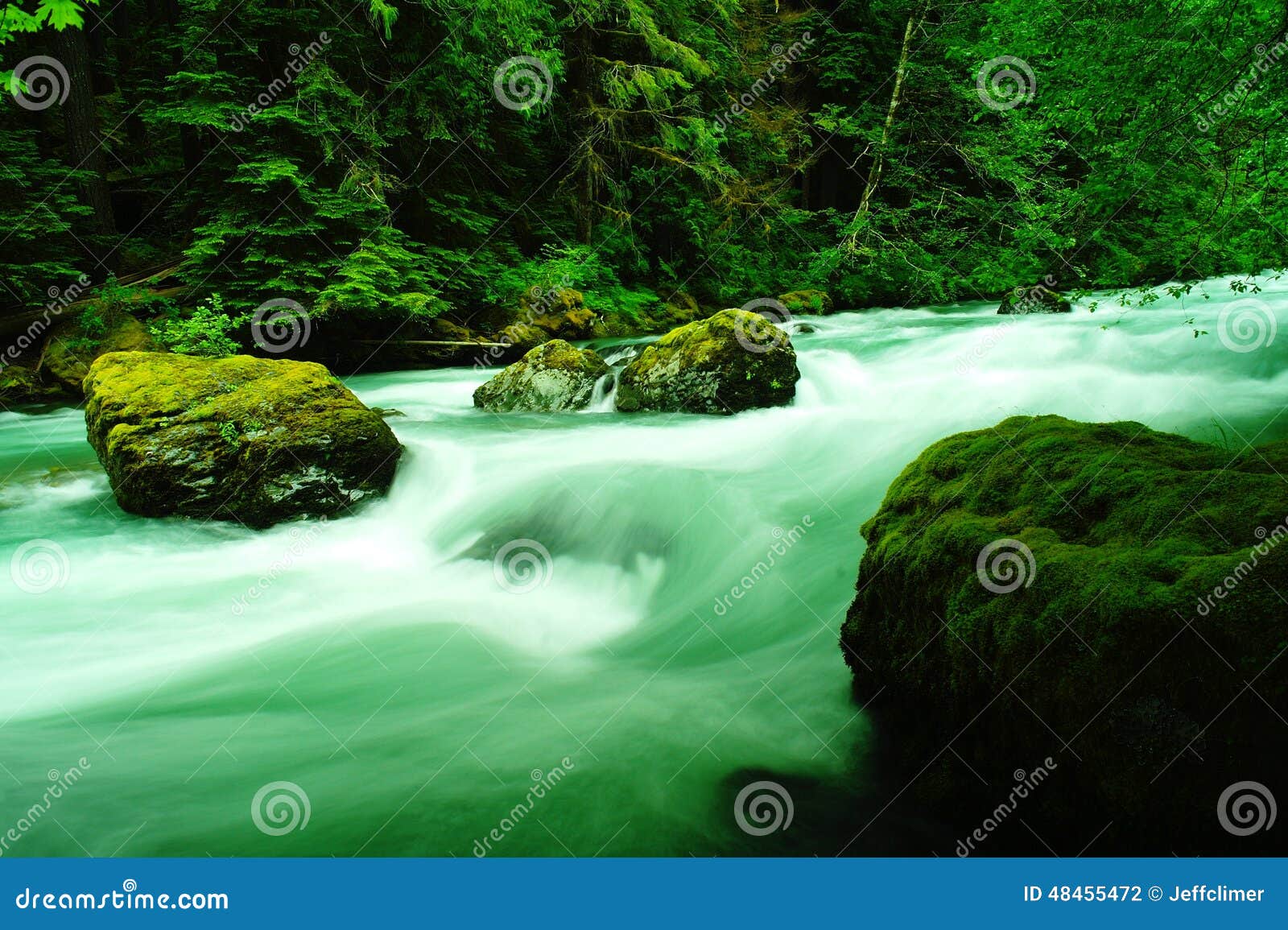 Dosewallips river. stock photo. Image of green, flowing - 48455472