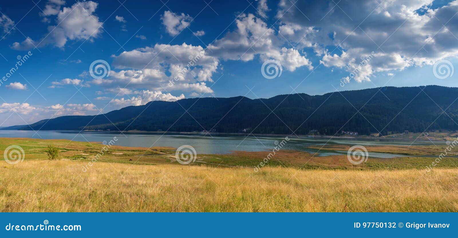 Dospat lake Bulgaria stock photo. Image of region, forest - 97750132