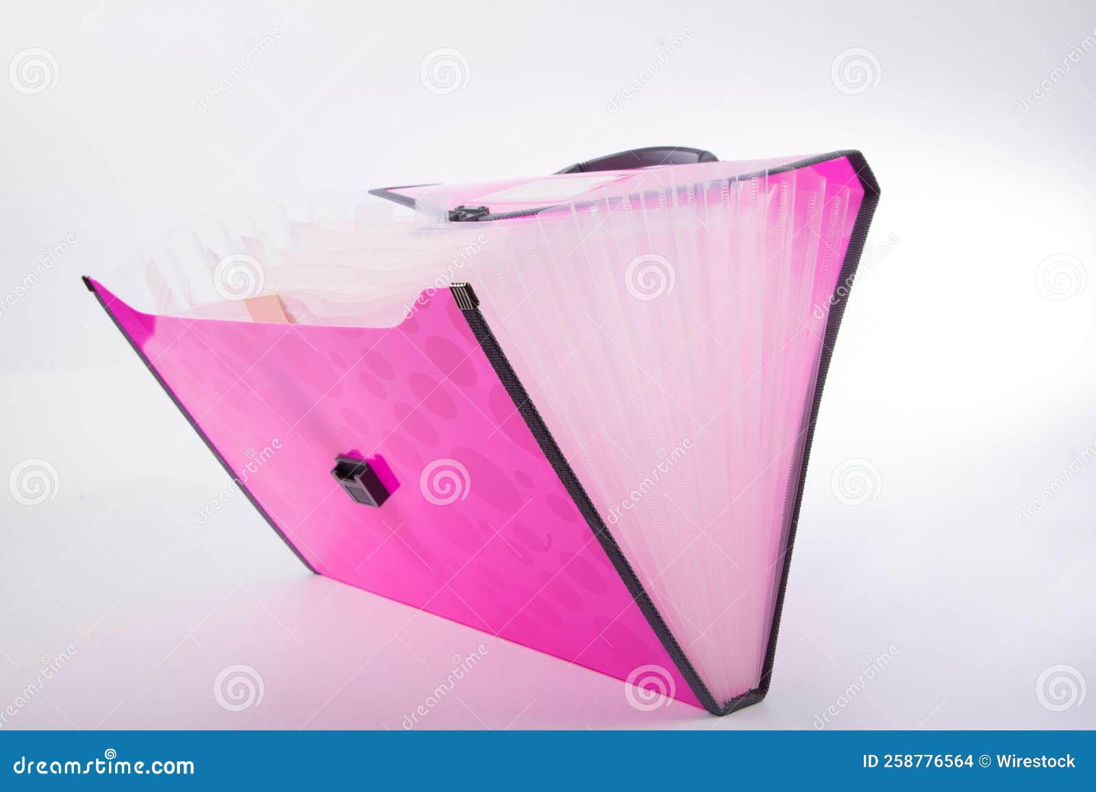 Dossier De Support De Document Extensible Rose Vierge Photo stock ...