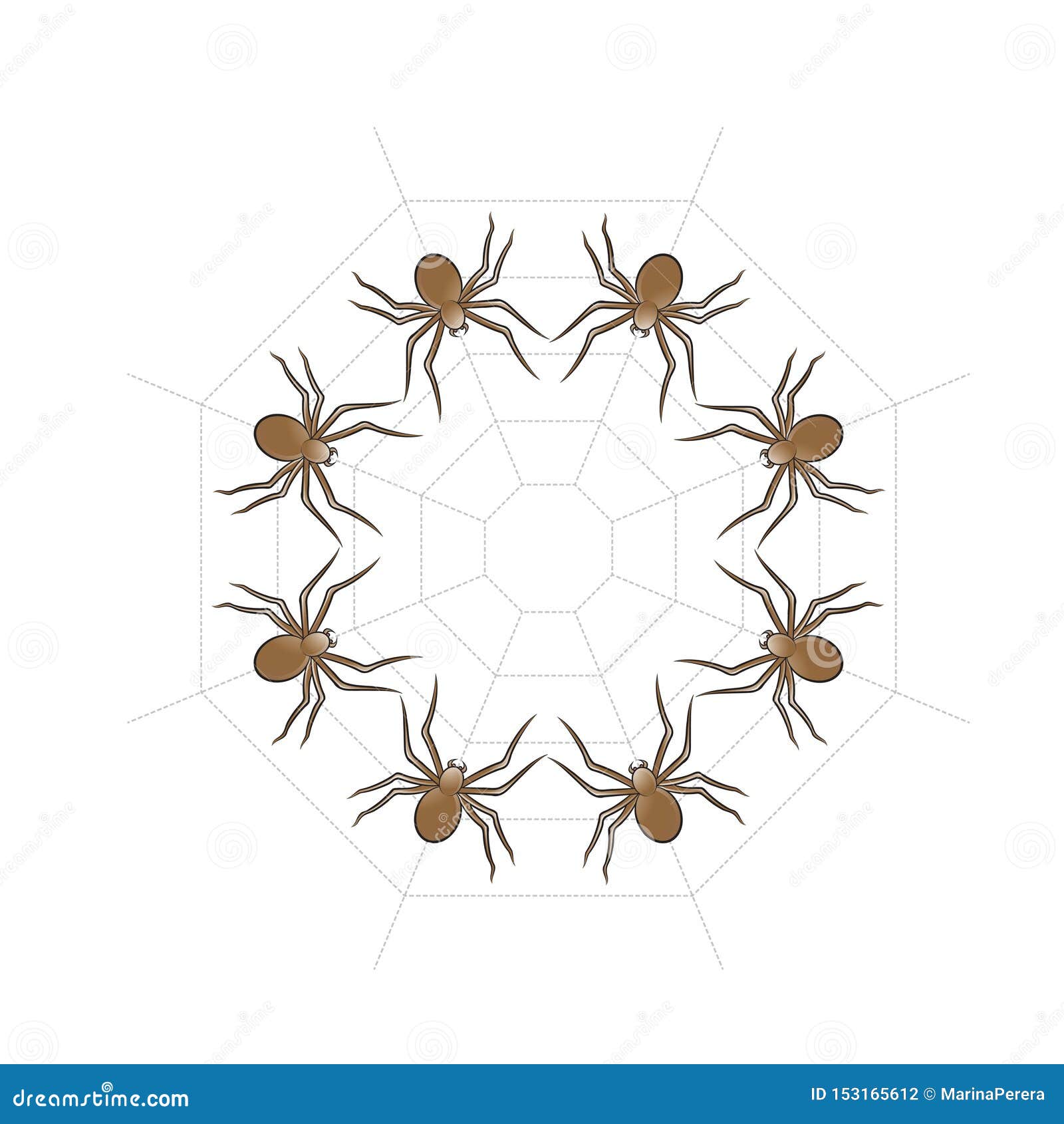 Dot Line Spider Web and Spiders Stock Vector - Illustration of drawing ...