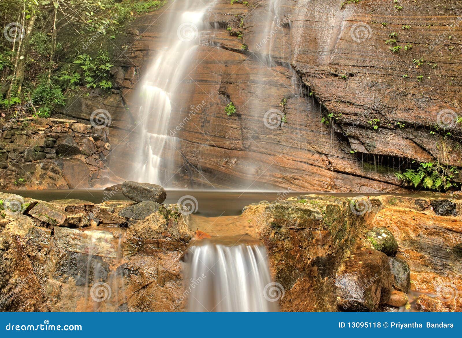 Dothalugala beauty 1 stock photo. Image of current, nature - 13095118