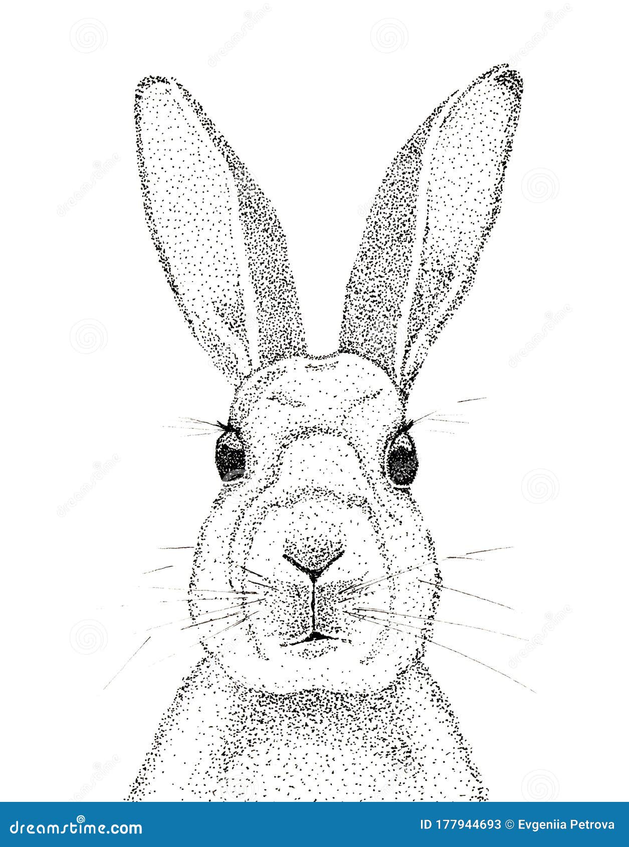 Dotted Rabbit. Easter Symbol. Stock Illustration - Illustration of ...