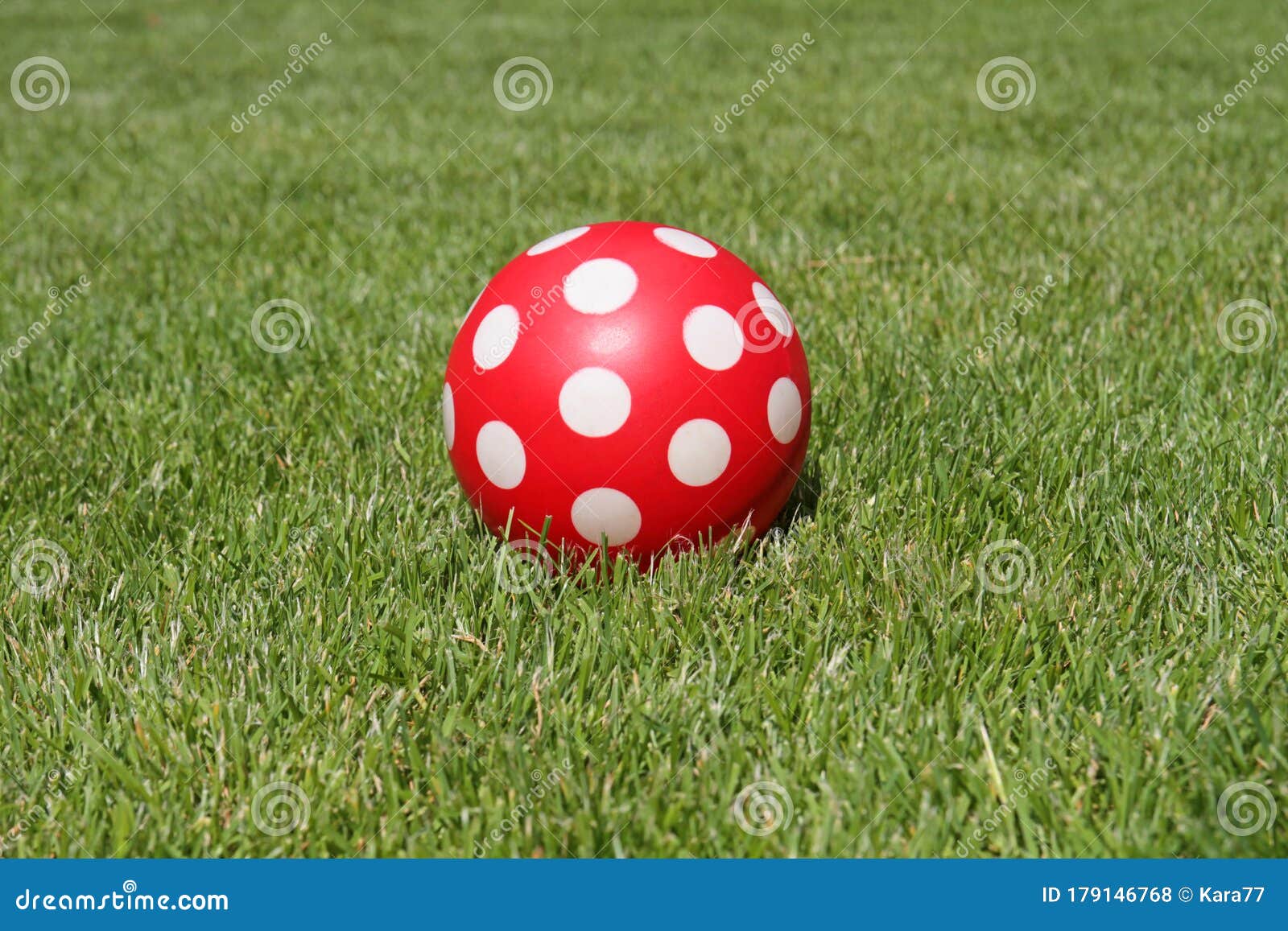 Dotted_ball stock photo. Image of playing, meadow, round - 179146768